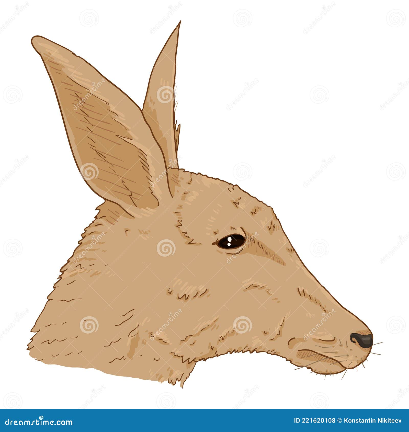 Kangaroo Head Vector Cartoon Illustration Stock Vector - Illustration ...
