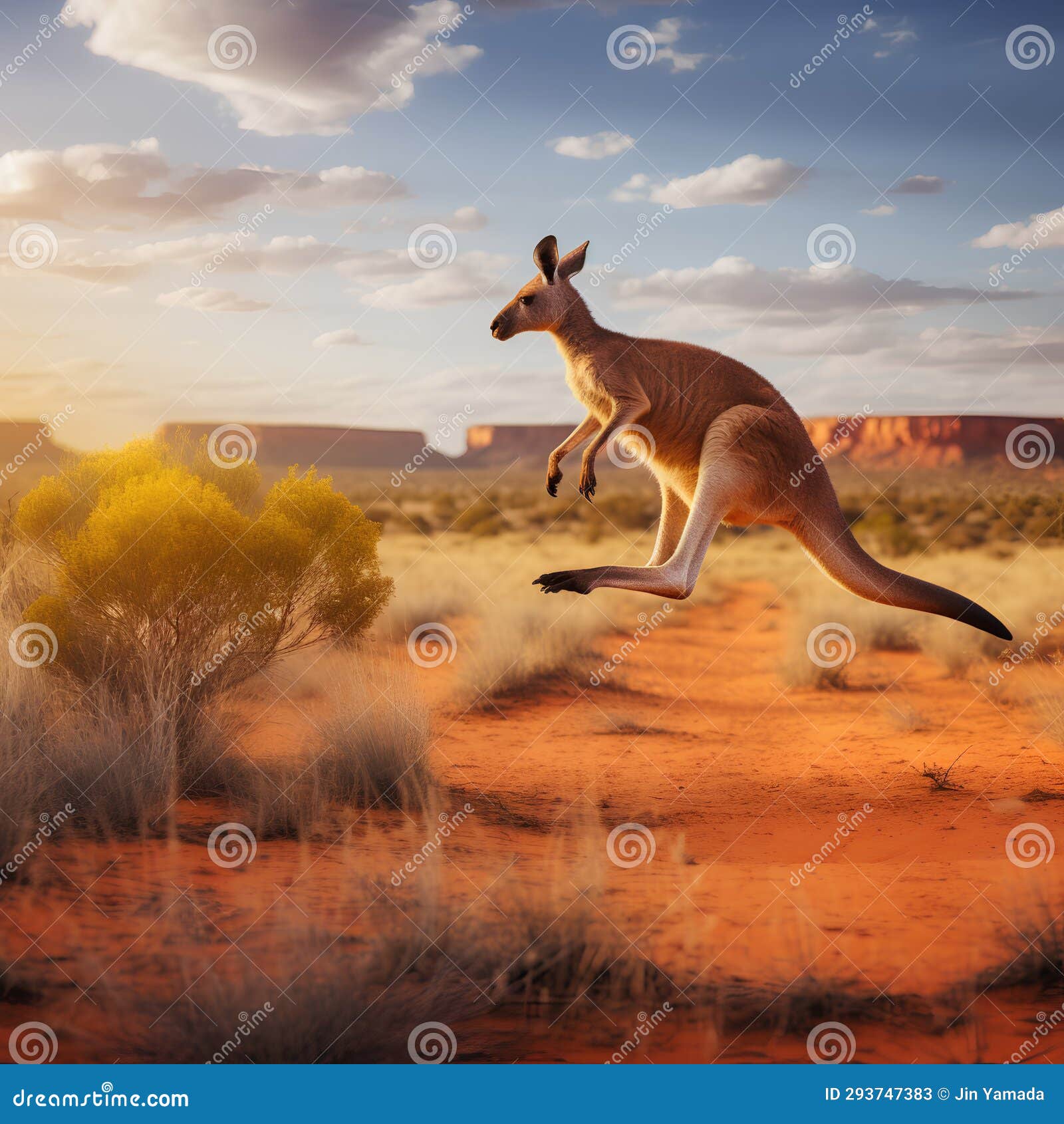 Kangaroo Jumping in the Desert. Australian Kangaroo Stock Illustration ...