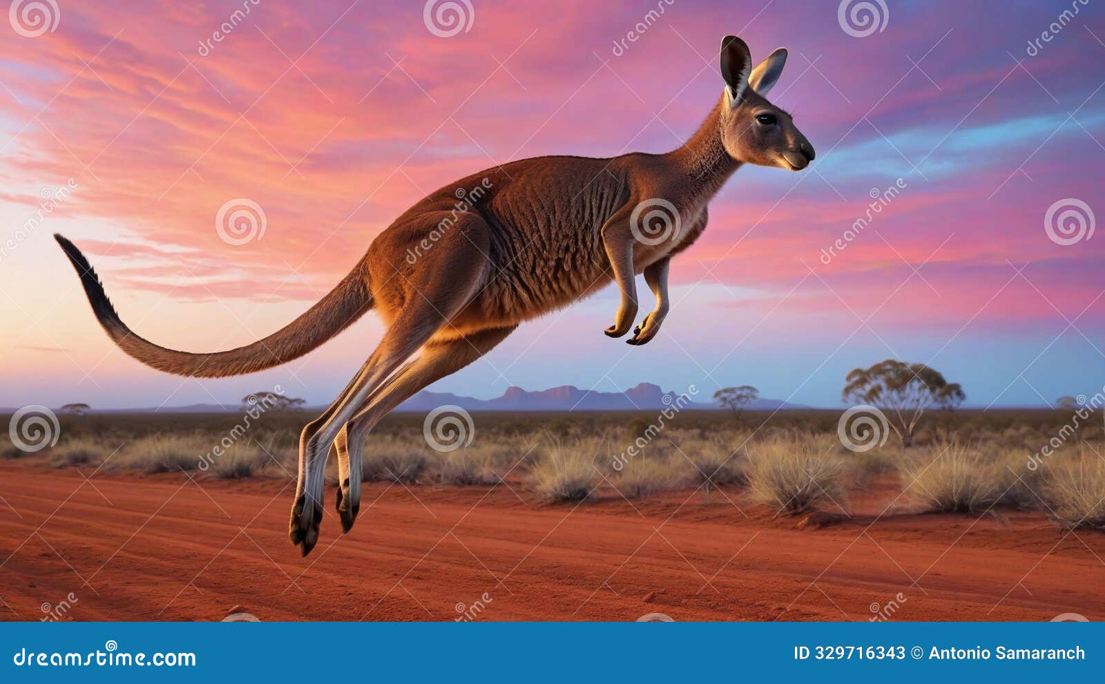 Red Kangaroo Jumping In The Wild Stock Image | CartoonDealer.com #277074853
