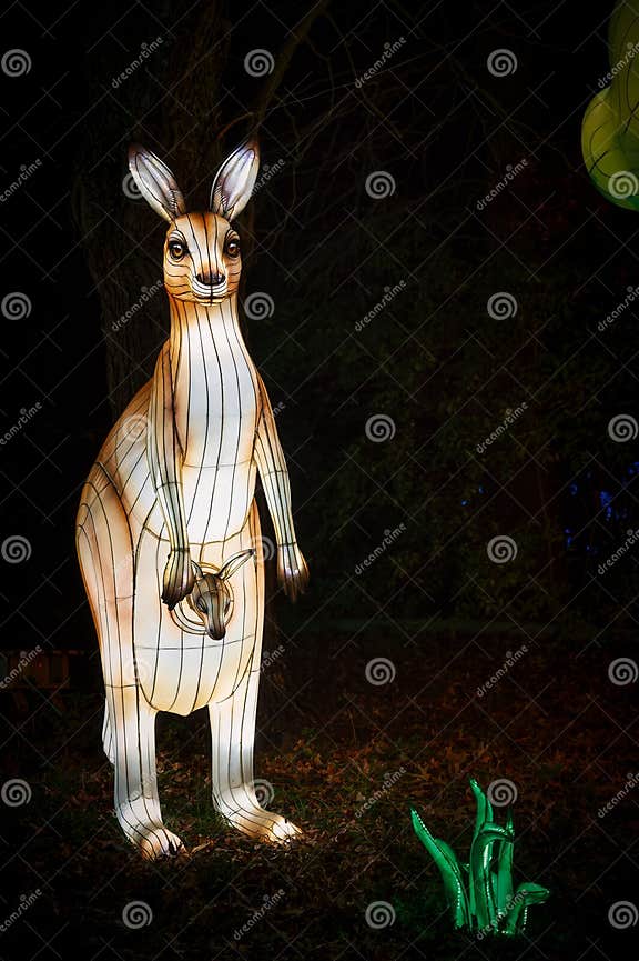 The Kangaroo is Lit Up for the Night at the Park Editorial Stock Image ...