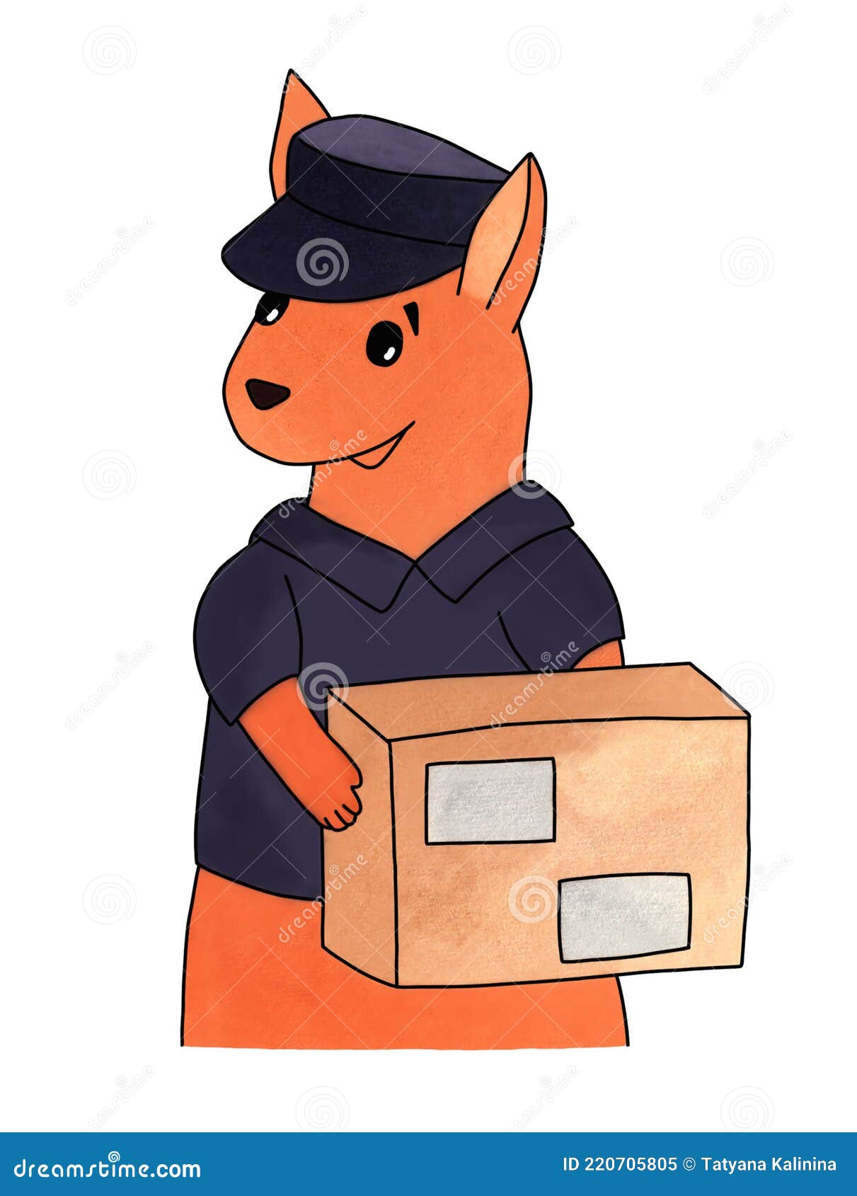 Kangaroo Postman with a Parcel Stock Image - Image of postal, parcel ...