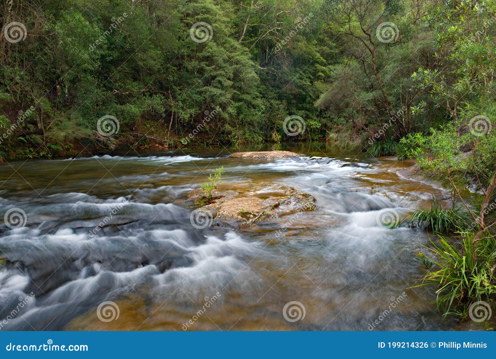 The Fast Flowing Kangaroo River at Belmore Fall, NSW, Australia Stock ...