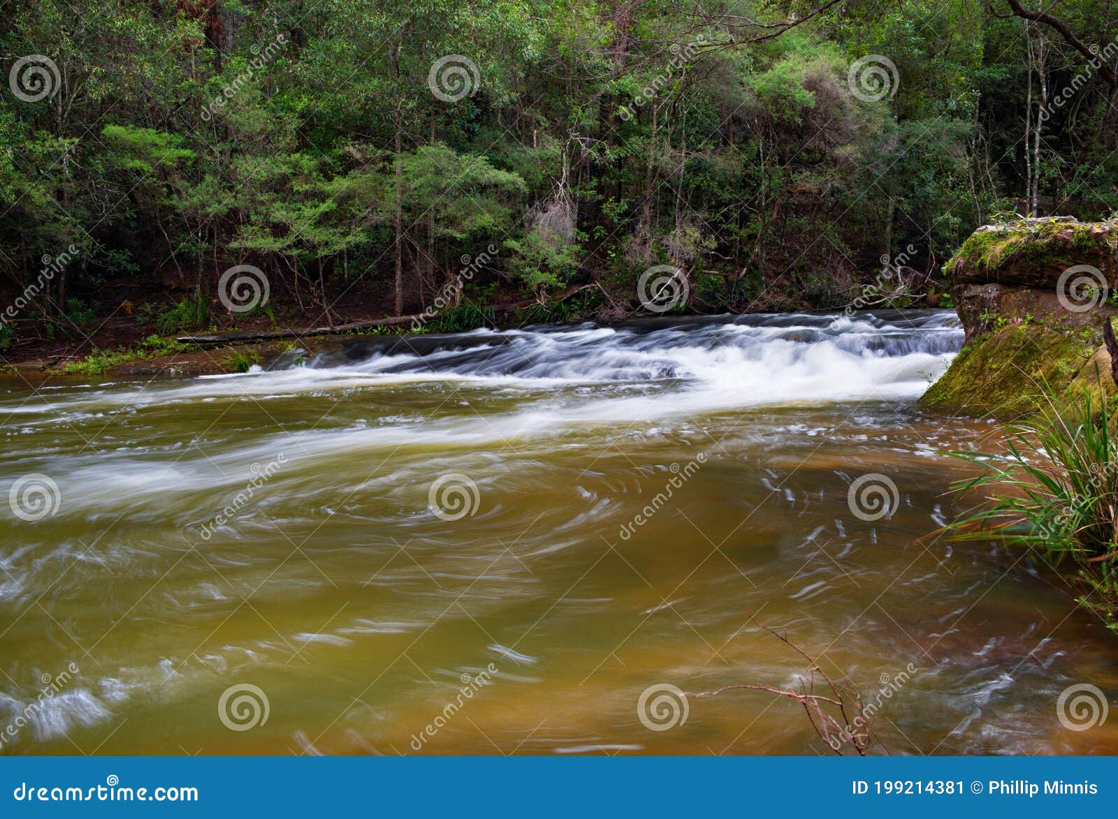 The Kangaroo River at Belmore Falls, NSW, Australia Stock Image - Image ...