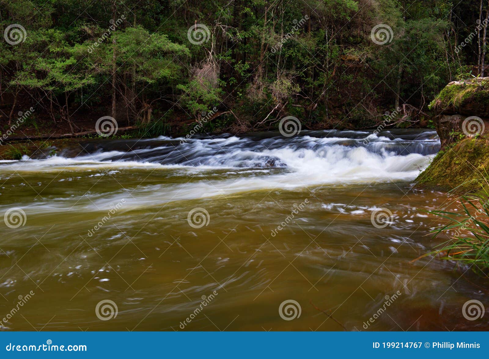The Fast Flowing Kangaroo River at Belmore Fall, NSW, Australia Stock ...