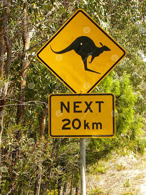 Kangaroo road sign stock image. Image of 20km, side, australia - 45336331