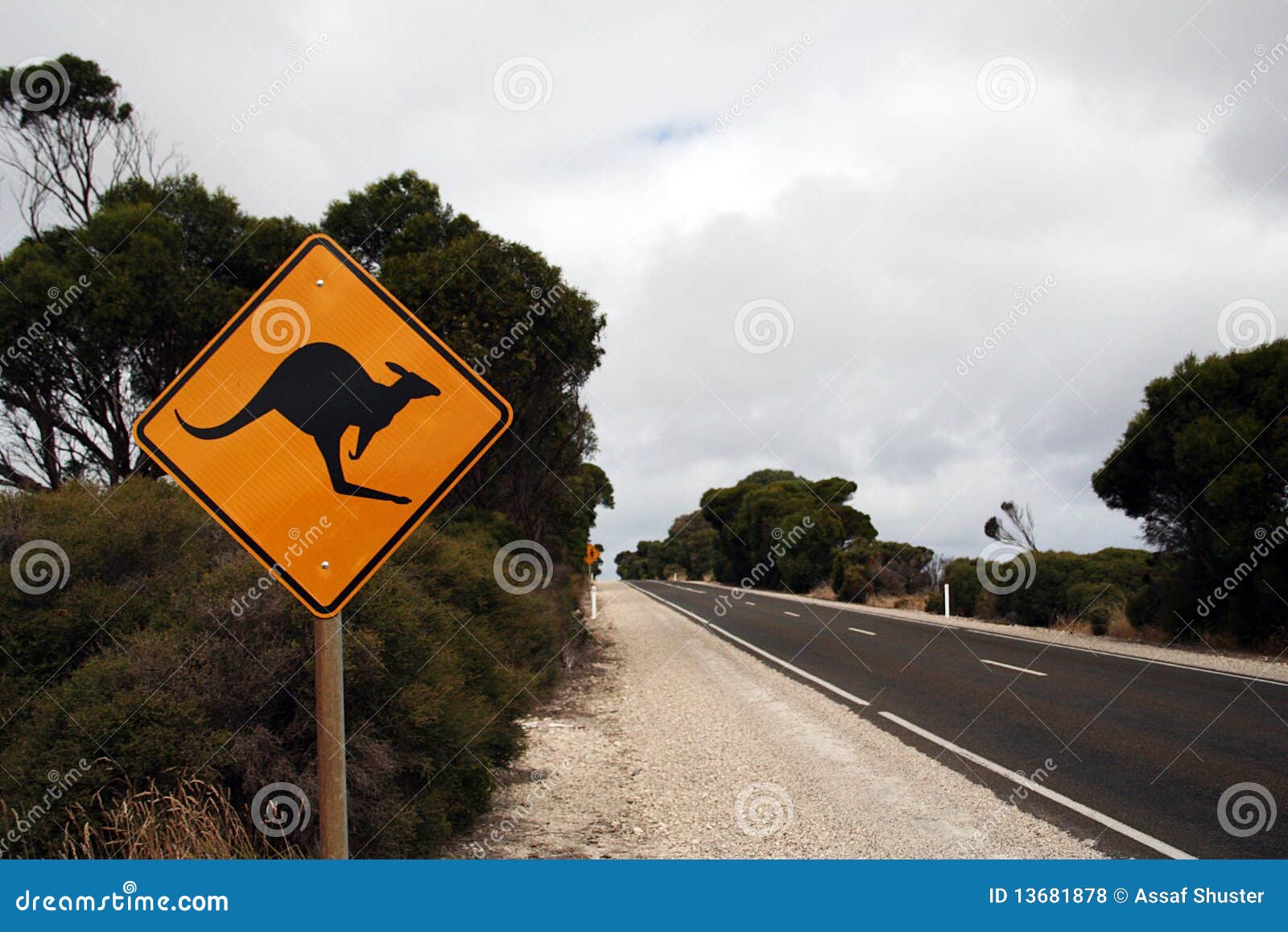 Kangaroo Sign stock photo. Image of path, sign, danger - 13681878