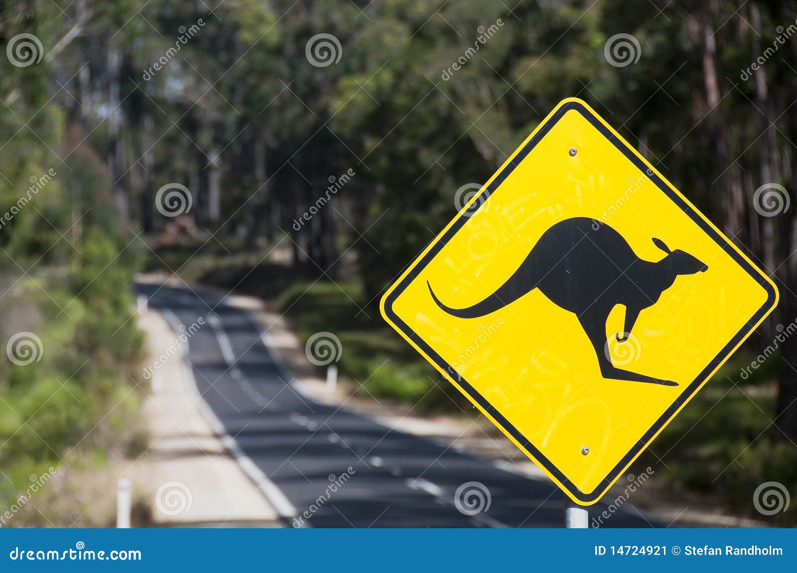 Kangaroo sign stock image. Image of cross, kangaroo, typical - 14724921