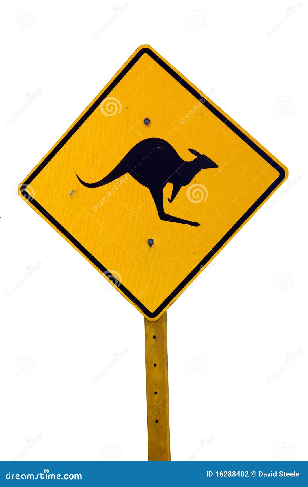 Kangaroo Sign stock photo. Image of kangaroo, nature - 16288402