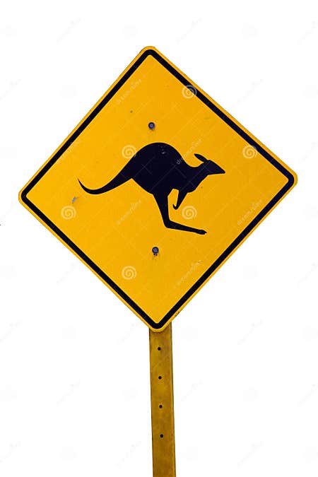 Kangaroo Sign stock photo. Image of kangaroo, nature - 16288402