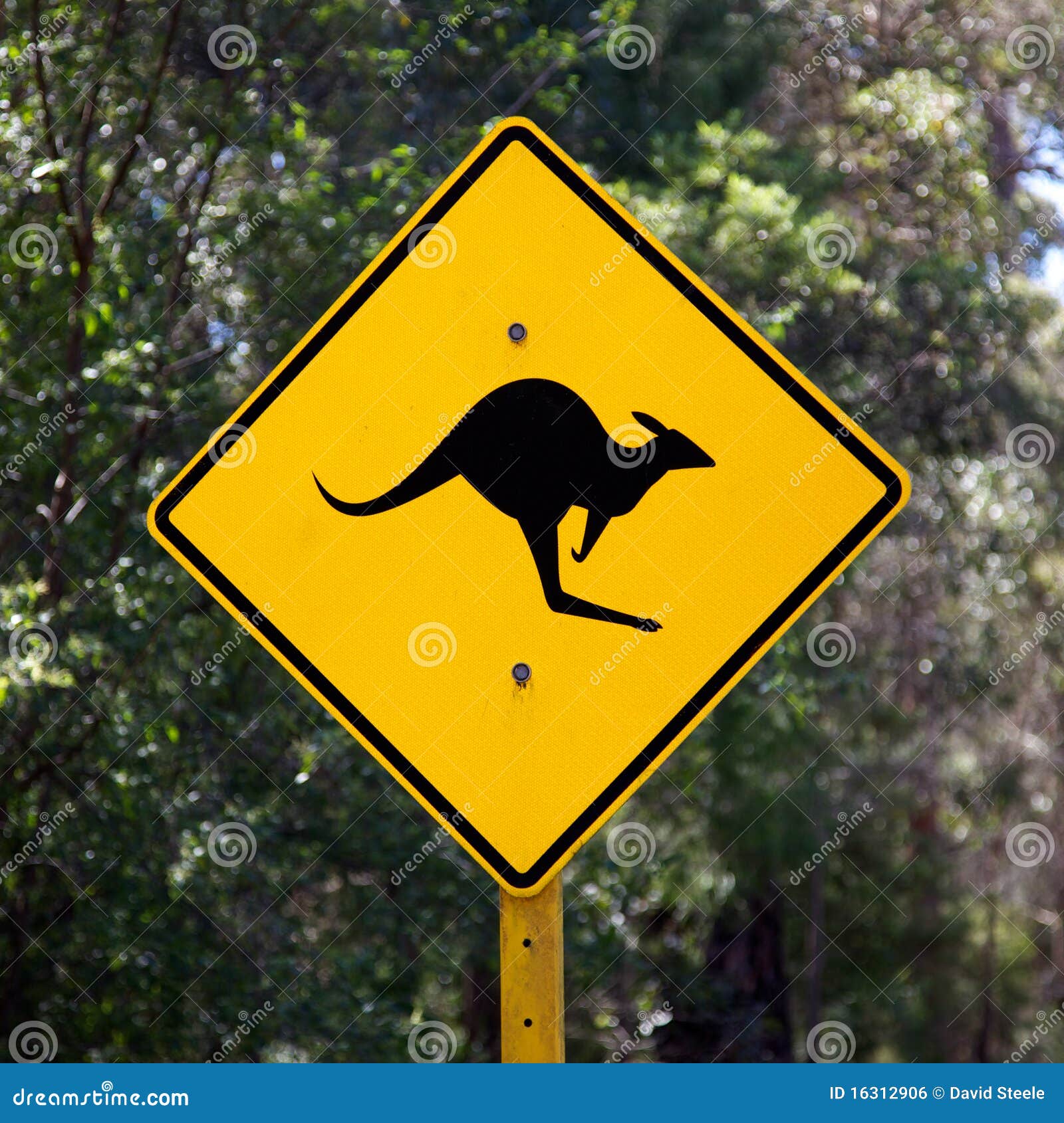 Kangaroo Sign stock photo. Image of australia, rural - 16312906