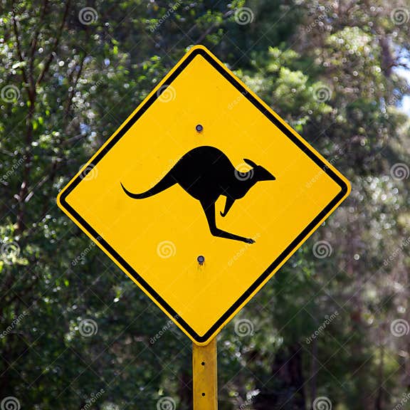 Kangaroo Sign stock photo. Image of australia, rural - 16312906