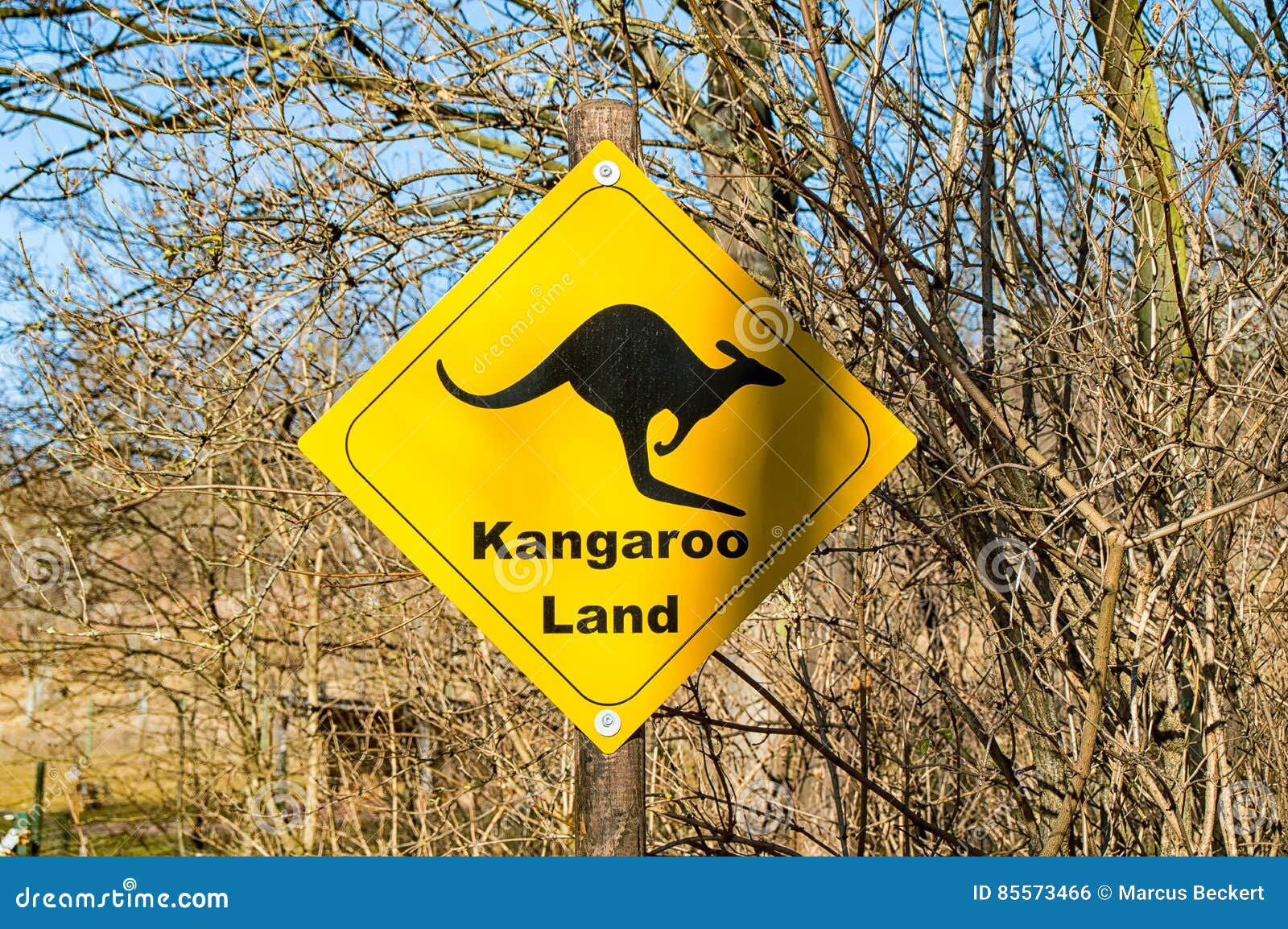Kangaroo sign country stock photo. Image of roadside - 85573466
