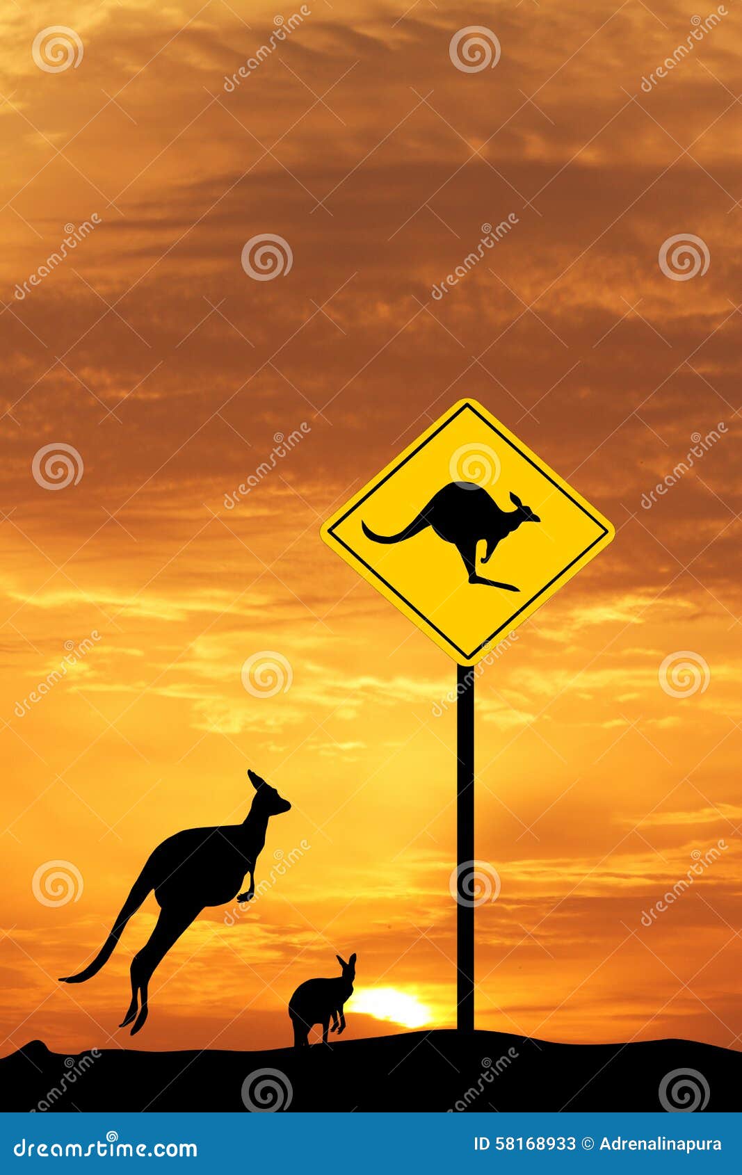 Kangaroo sign stock illustration. Illustration of sign - 58168933
