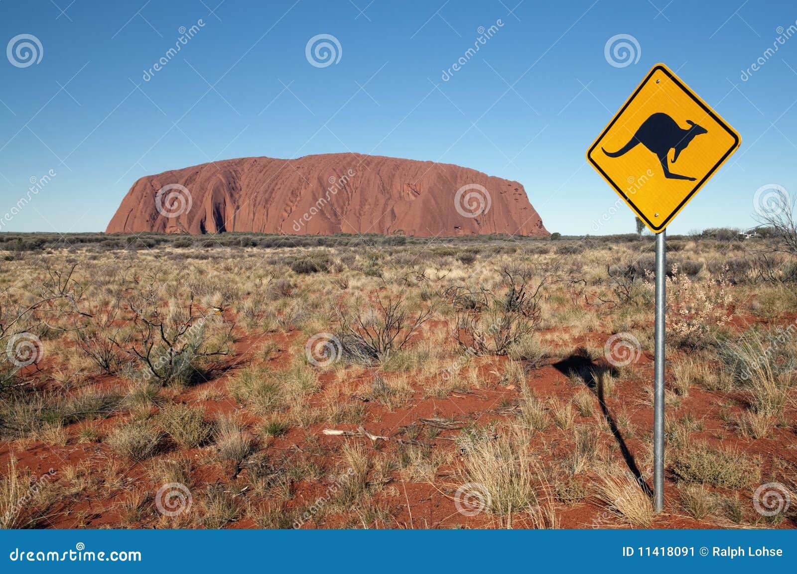 Kangaroo Sign Next To Uluru Editorial Photo - Image of hill, outback ...