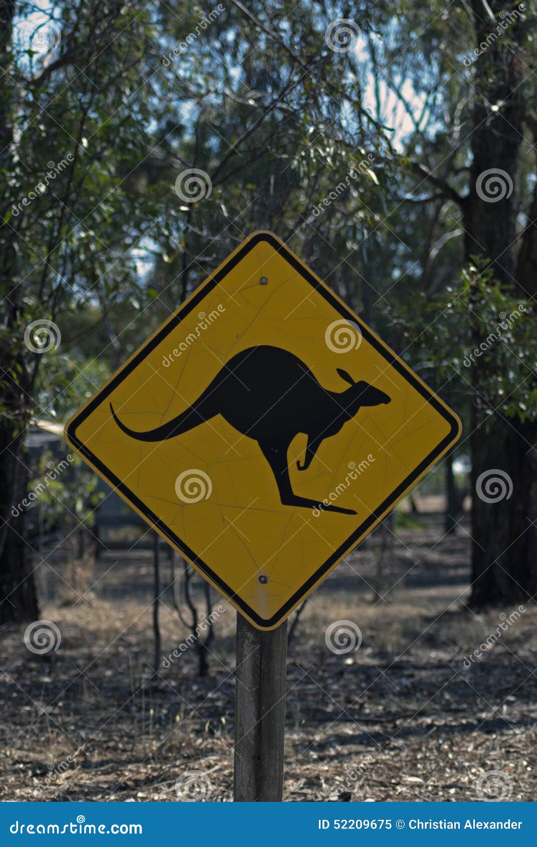 Kangaroo sign post stock image. Image of animal, urban - 52209675
