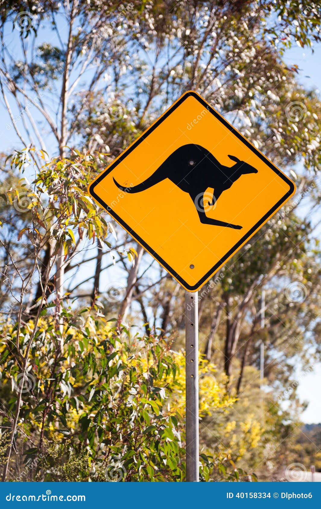 Kangaroo Sign stock photo. Image of fauna, eucalypt, australia - 40158334