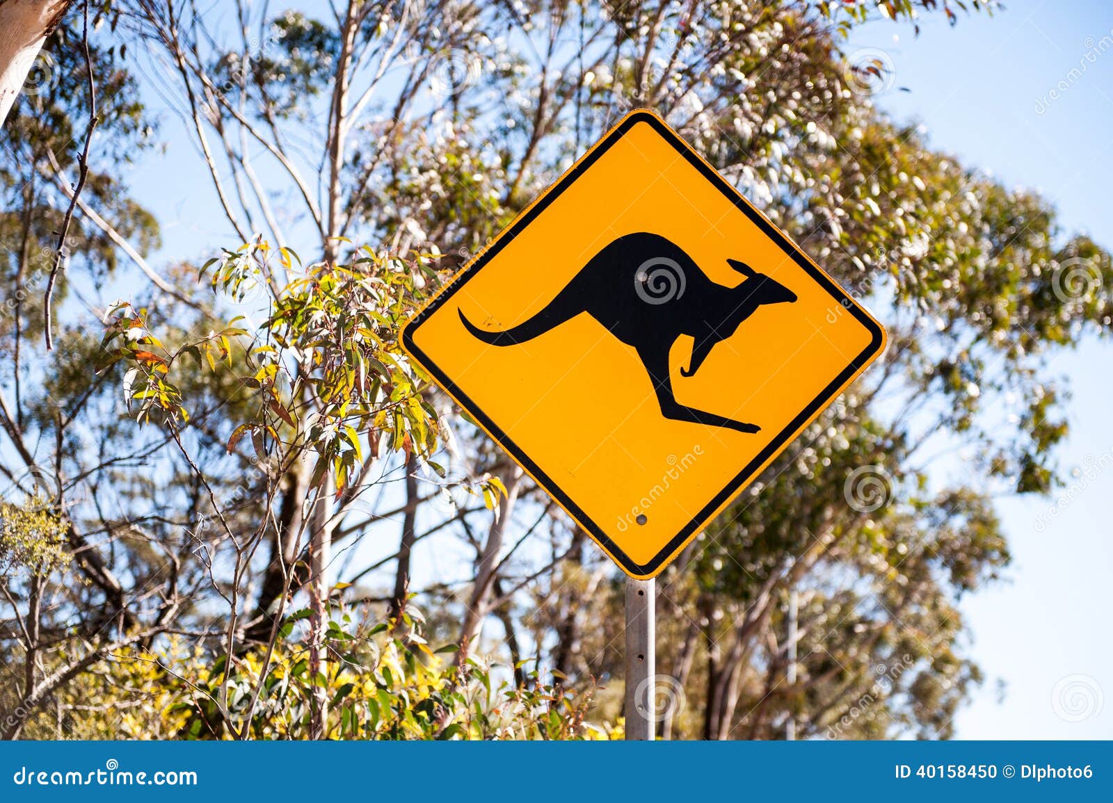 Kangaroo Sign stock photo. Image of gumtree, flora, camping - 40158450