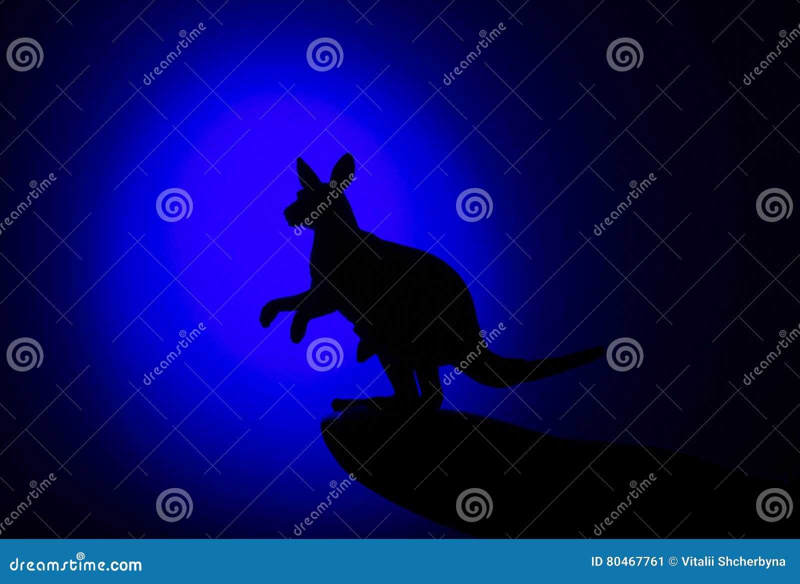 Kangaroo Silhouette at Night Stock Image - Image of road, outback: 80467761