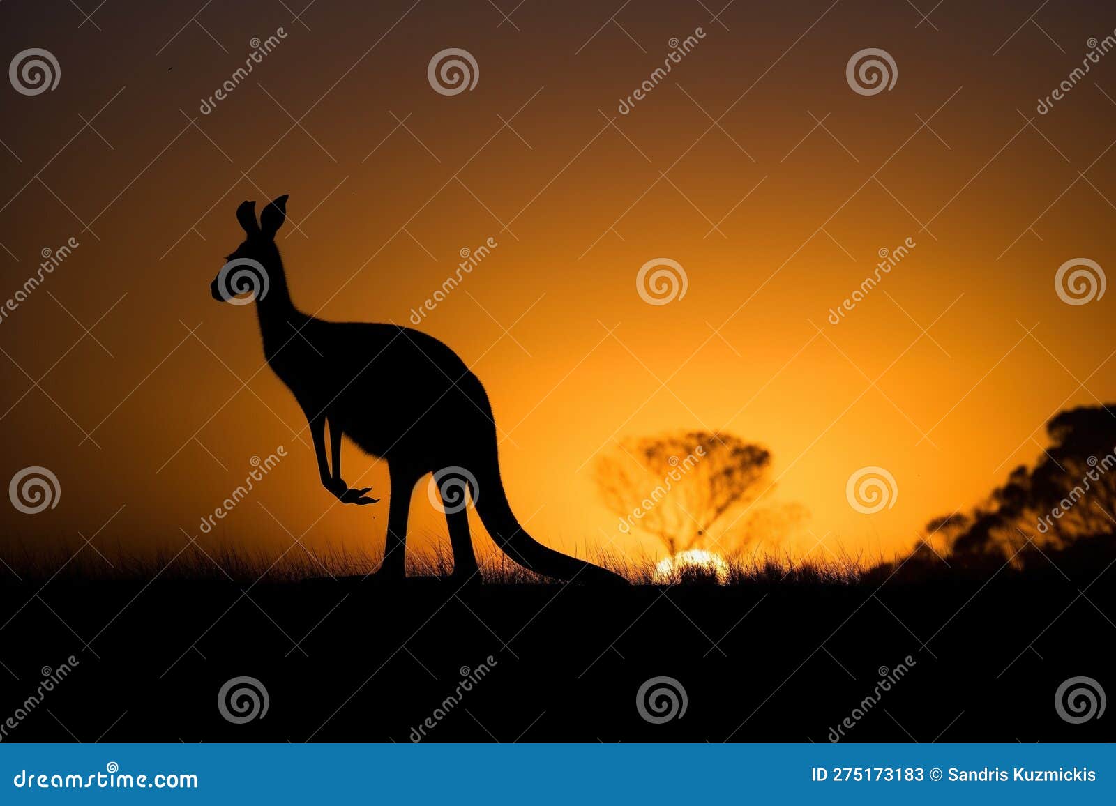 Kangaroo Silhouette an Sunset. Generative AI Stock Illustration ...
