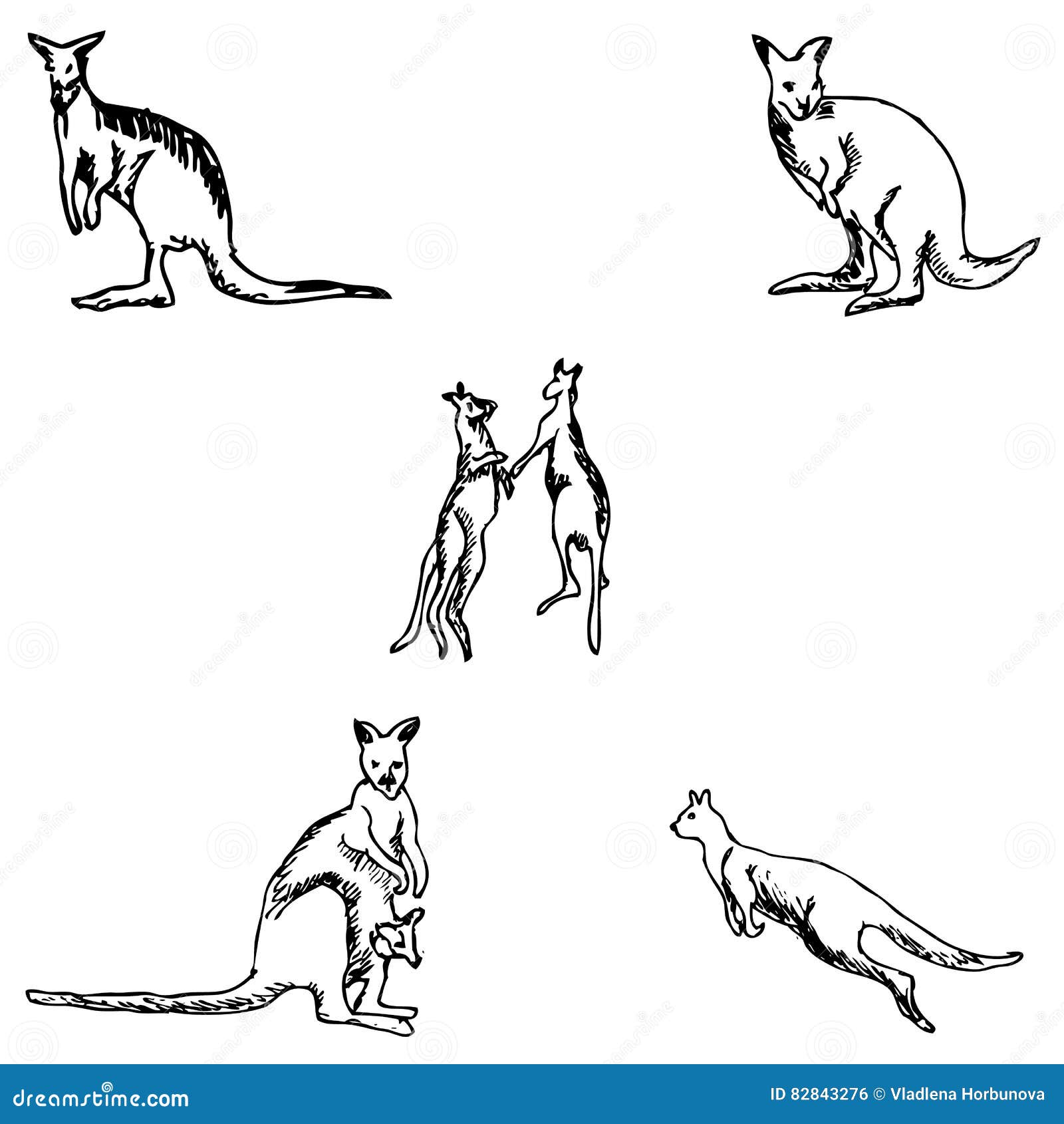 Kangaroo. a sketch by hand stock vector. Illustration of fauna - 82843276