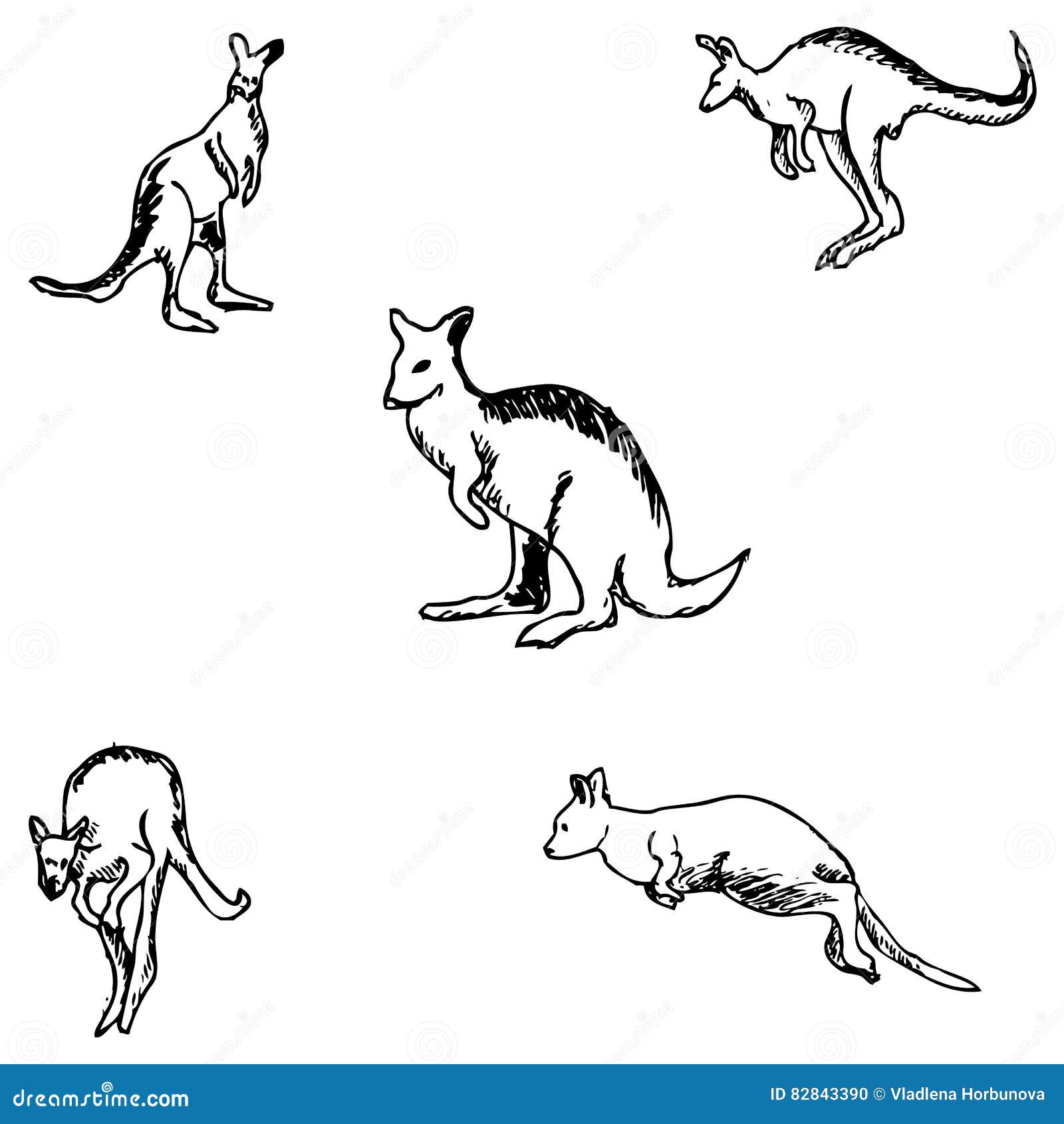 Kangaroo. A Sketch By Hand. Pencil Drawing Vector Illustration ...