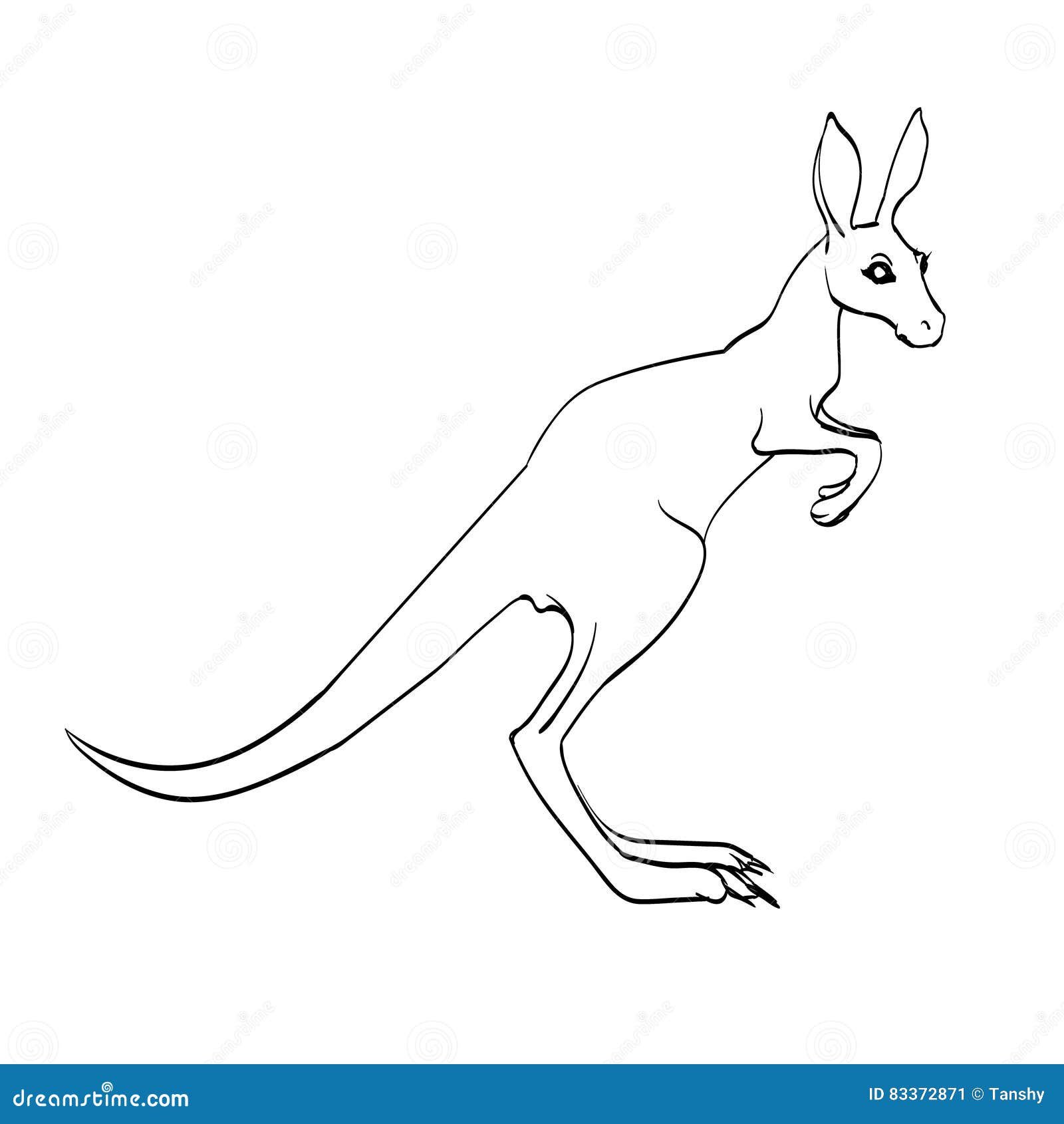 Kangaroo vector stock vector. Illustration of pouch, design - 83372871