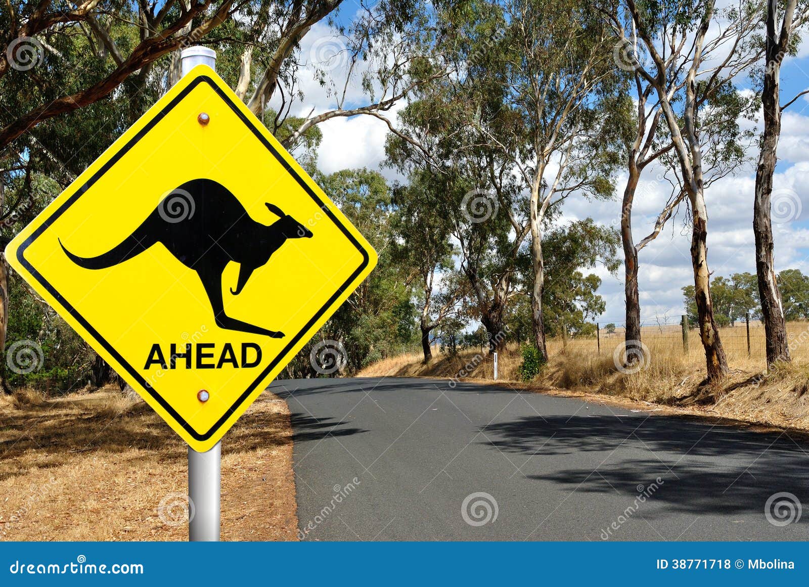 Kangaroo warning road sign stock photo. Image of eucalyptus - 38771718