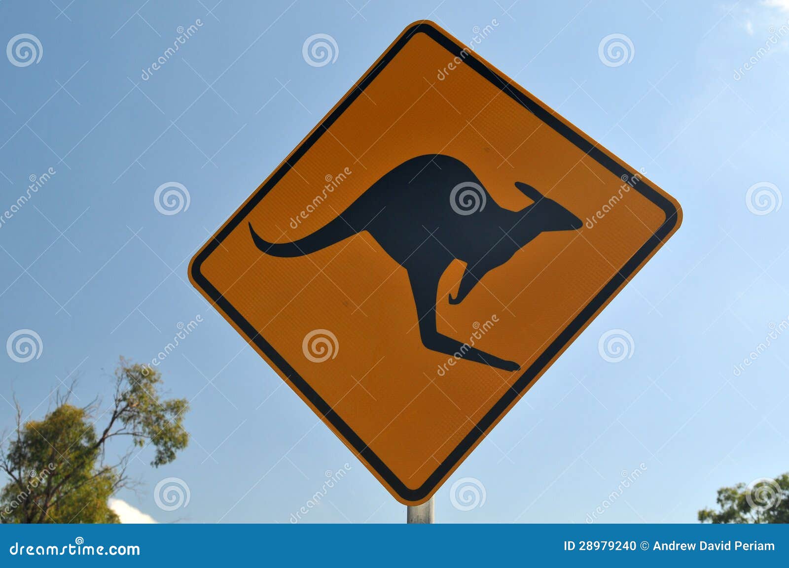Kangaroo warning Sign stock photo. Image of shape, retro - 28979240
