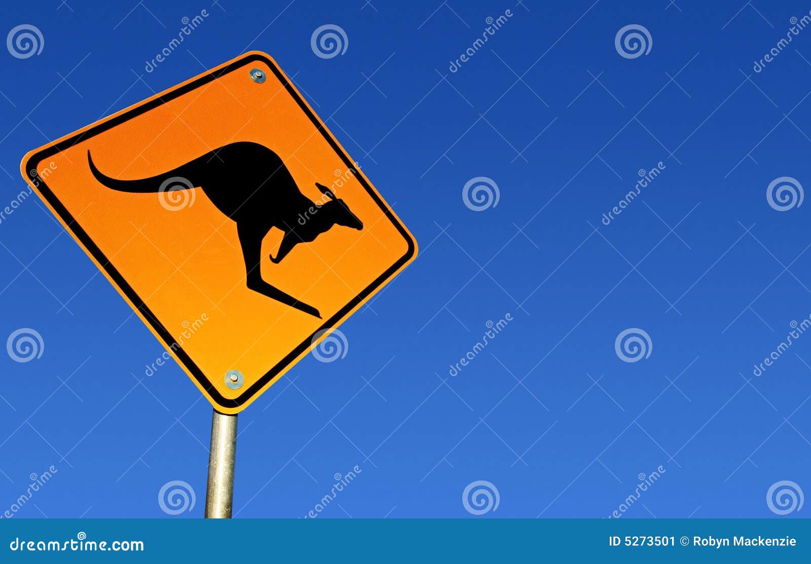 Kangaroo Warning Sign (with Path) Stock Image - Image of road, clipping ...