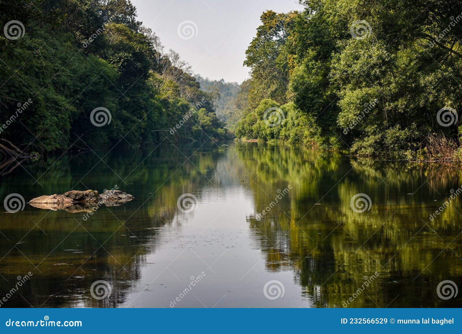Kanger river stock image. Image of national, tree, jagdalpur - 232566529