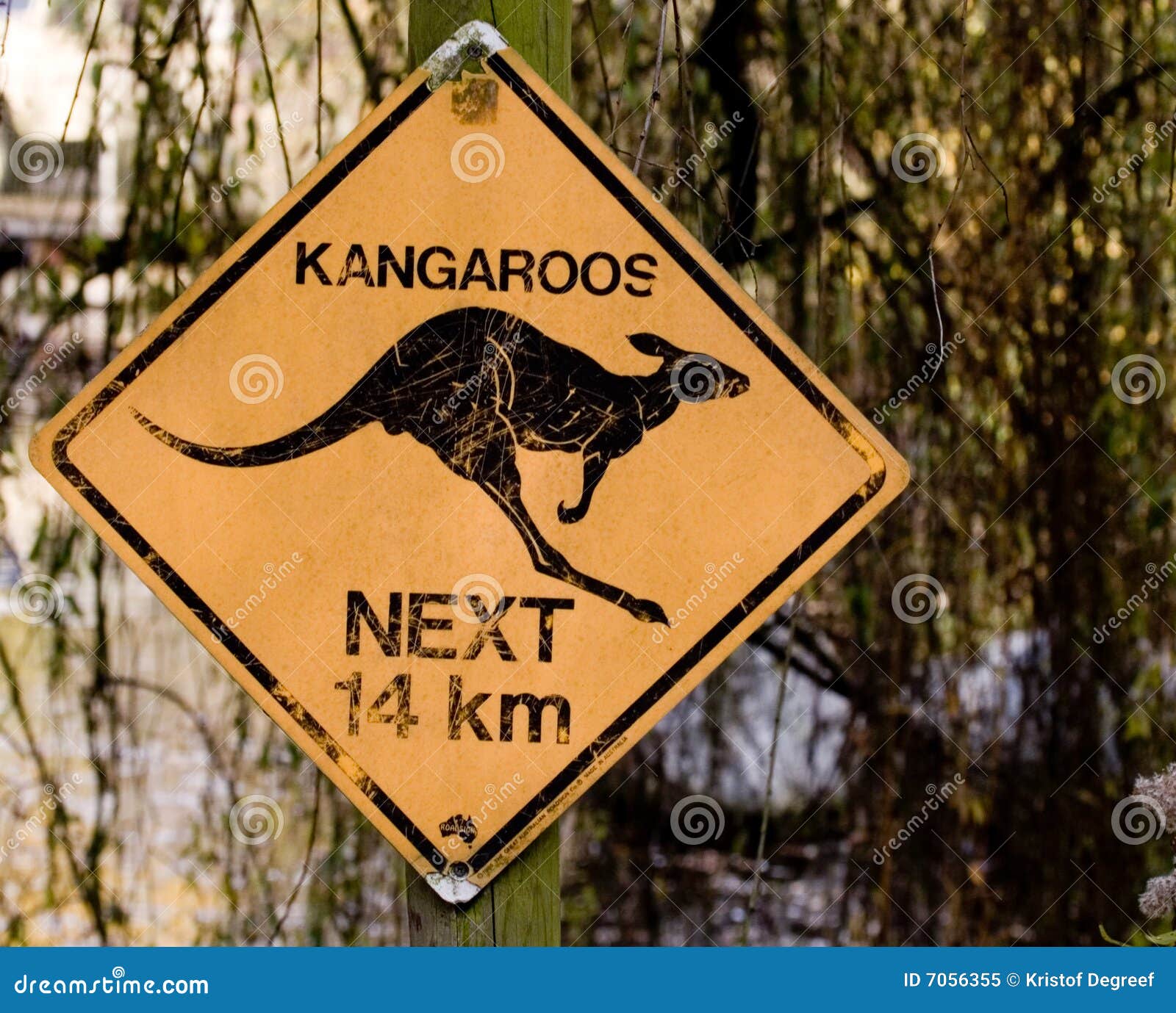 Kangura znak obraz editorial. Obraz złożonej z sławny - 7056355