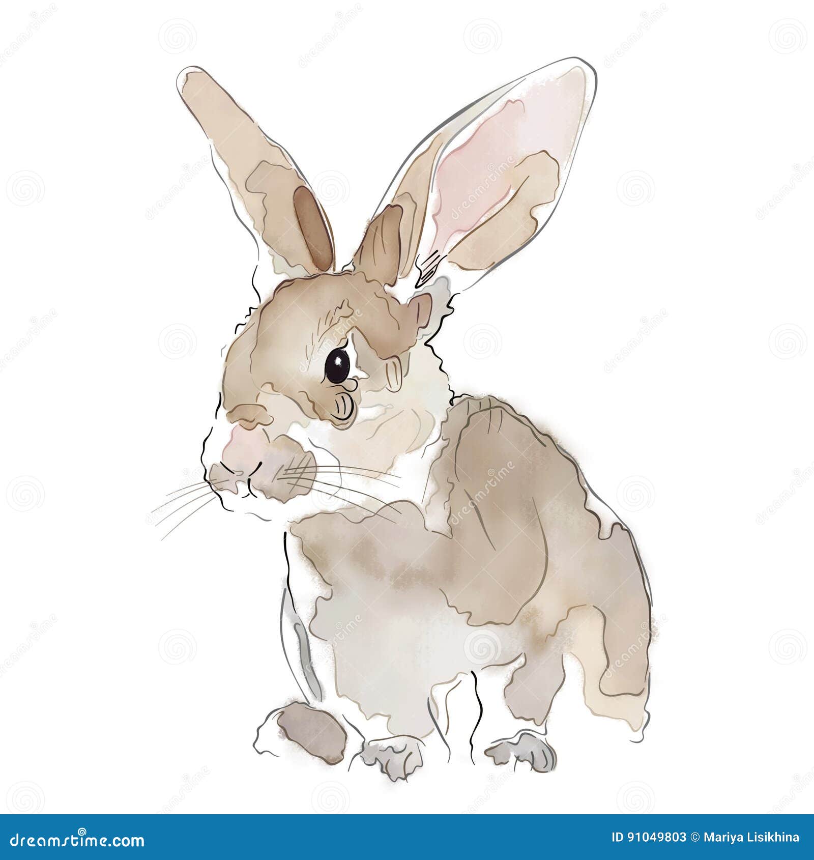 Kanin stock illustrationer. Illustration av skog, diagram - 91049803