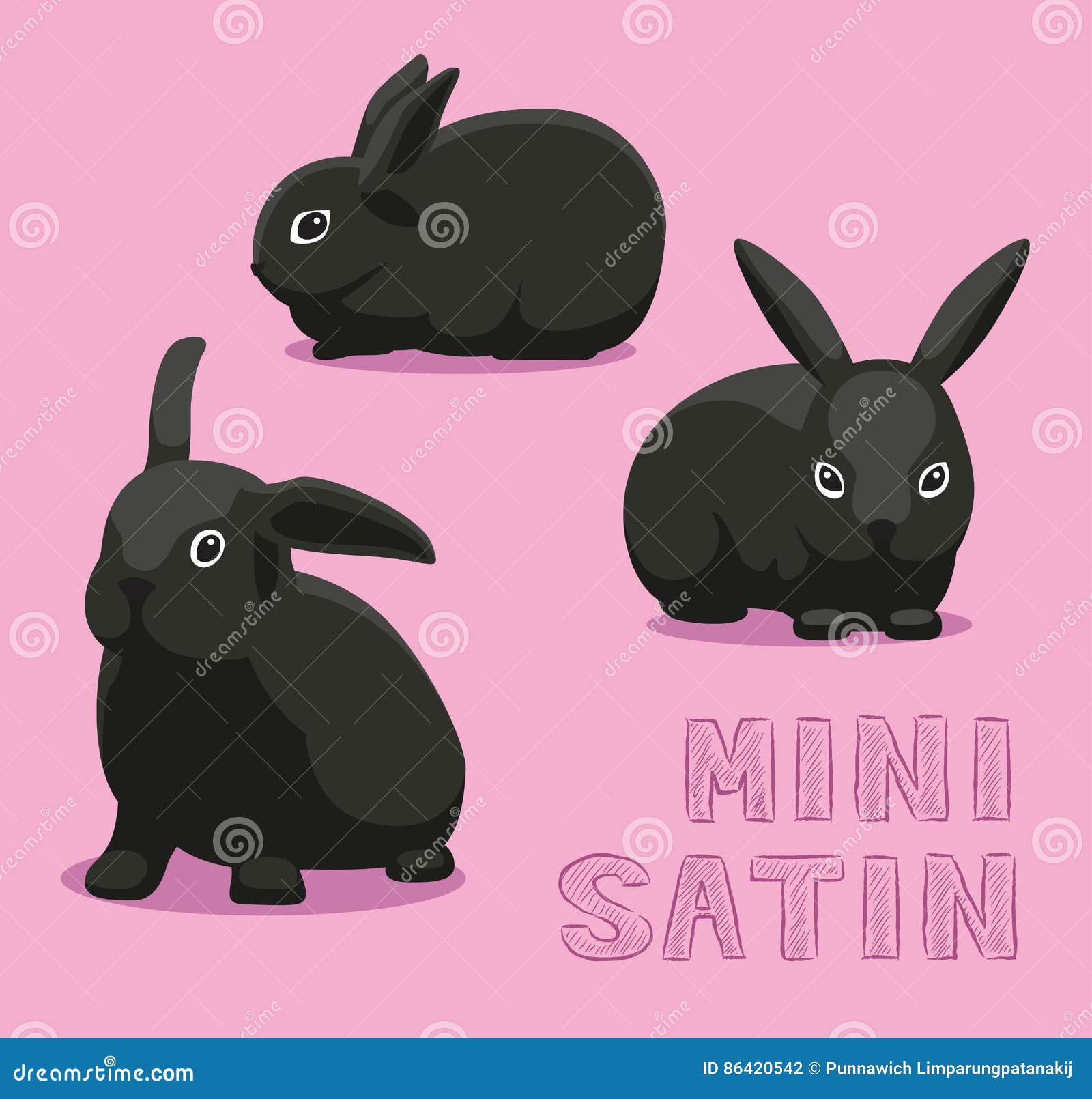 Kanin Mini Satin Cartoon Vector Illustration Vektor Illustrationer ...