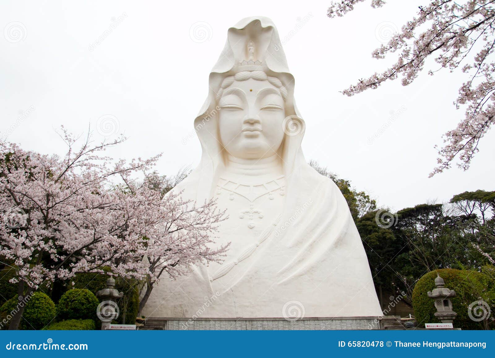Kannon Statue stock photo. Image of temple, sakura, statue - 65820478