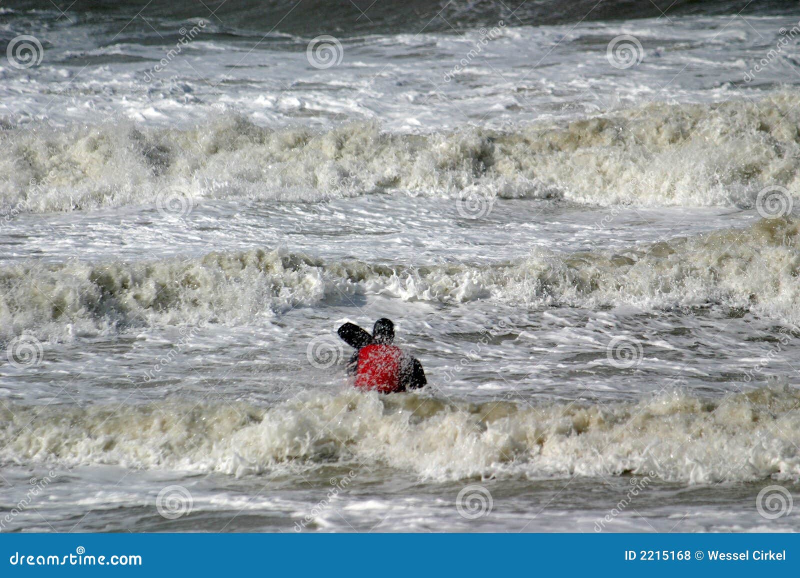 Kano in wild water stock foto. Image of hobby, strijd - 2215168