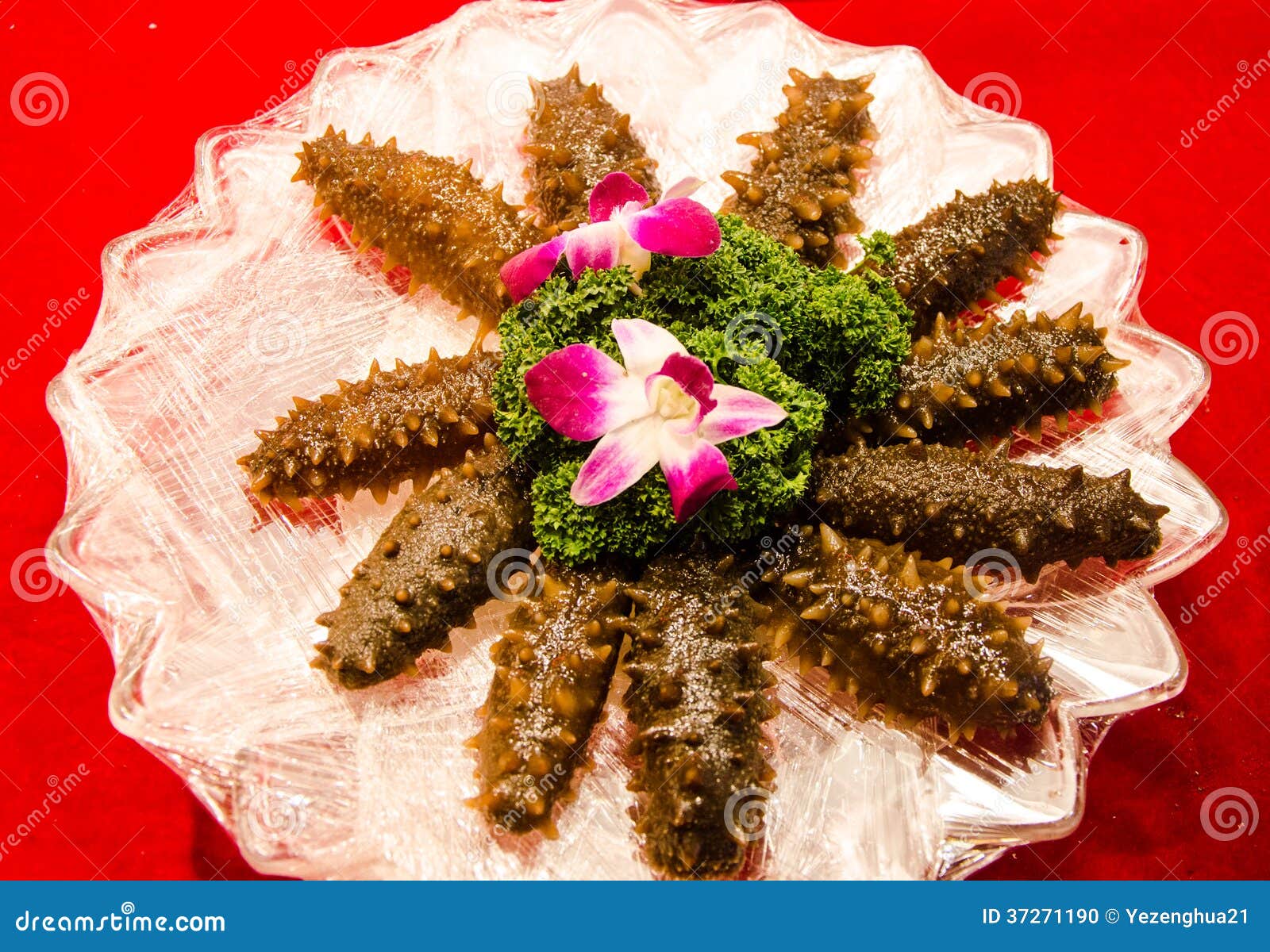 The kanto trepang stock photo. Image of marine, ingredients - 37271190