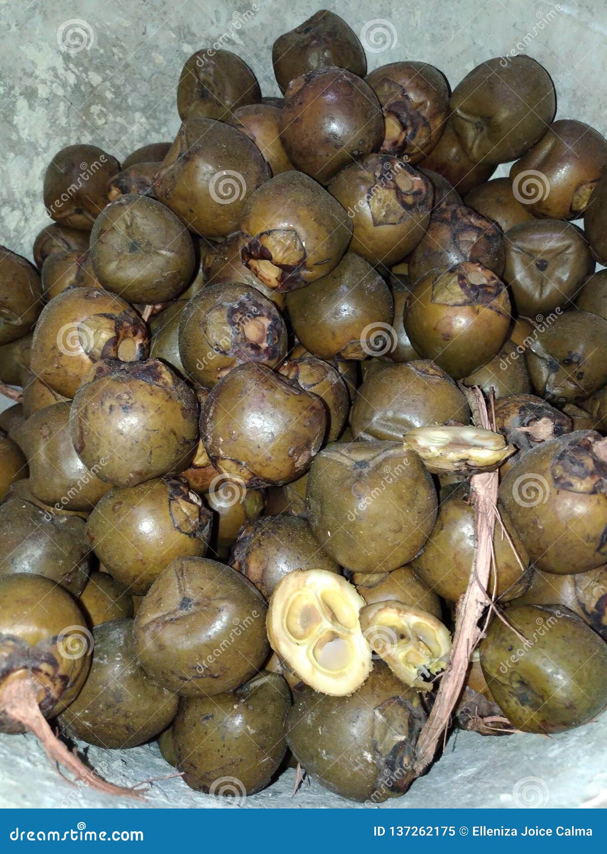 Kaong/ Irok stock image. Image of asian, fruit, irok - 137262175
