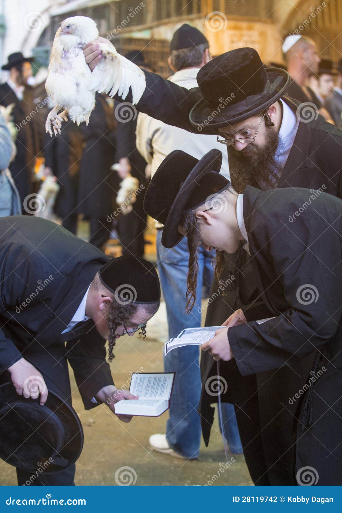 Kaparot editorial photography. Image of rooster, kabbalah - 28119742