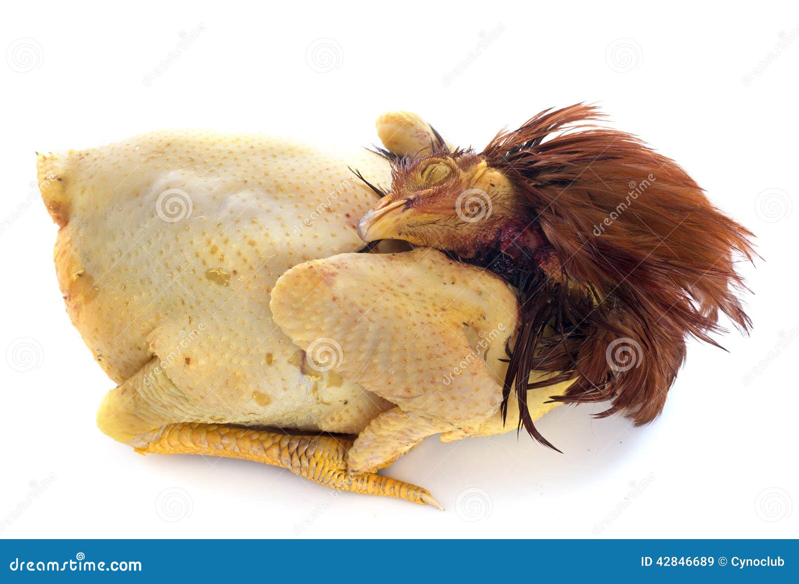 Kapoen stock afbeelding. Image of veer, kapoen, voedsel - 42846689