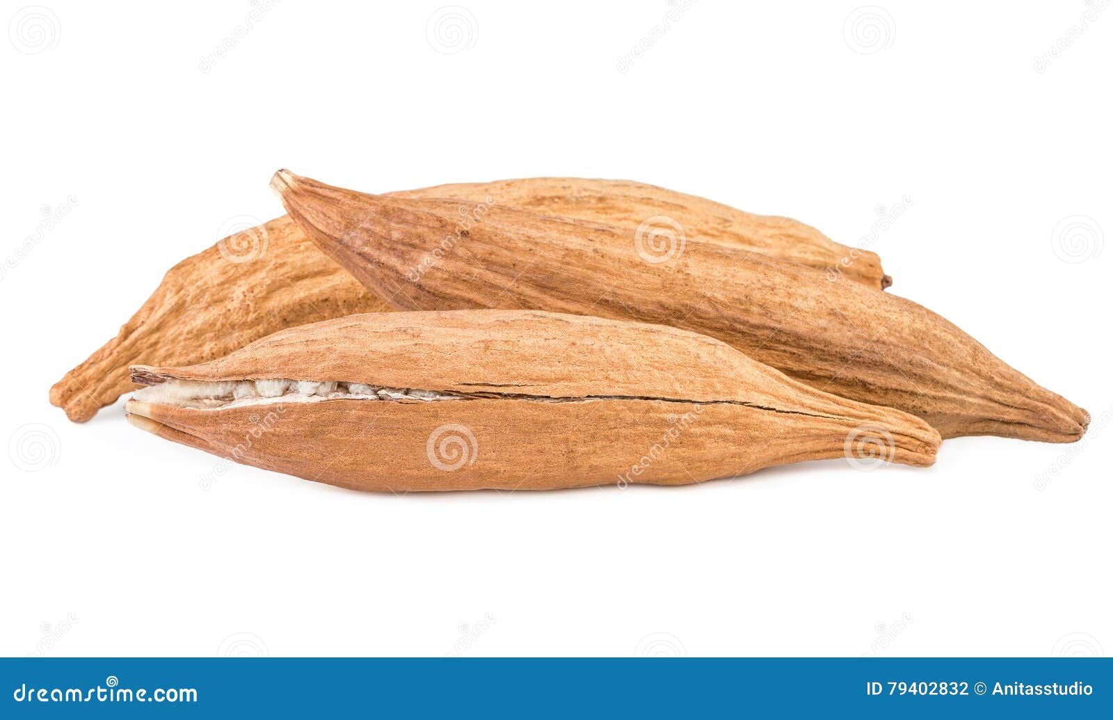 Three Kapok Seed Pods On White Background. Middle Kapok Seed Pod Crack ...