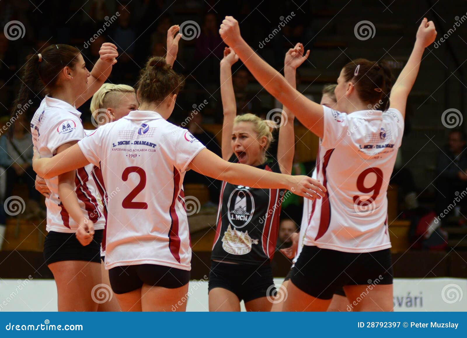 Kaposvar - BSE Volleyball Game Editorial Photography - Image of ...