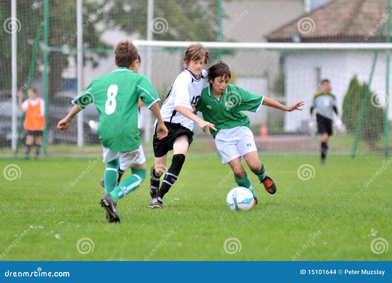Kaposvar - Paks U13 Soccer Game Editorial Stock Image - Image of child ...