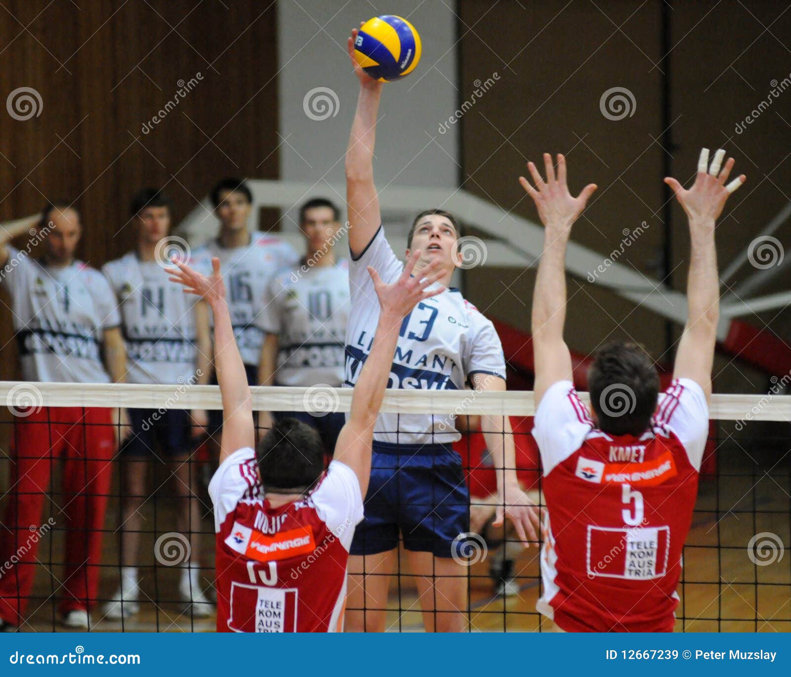 Kaposvar - Wien Volleyball Game Editorial Stock Image - Image of event ...
