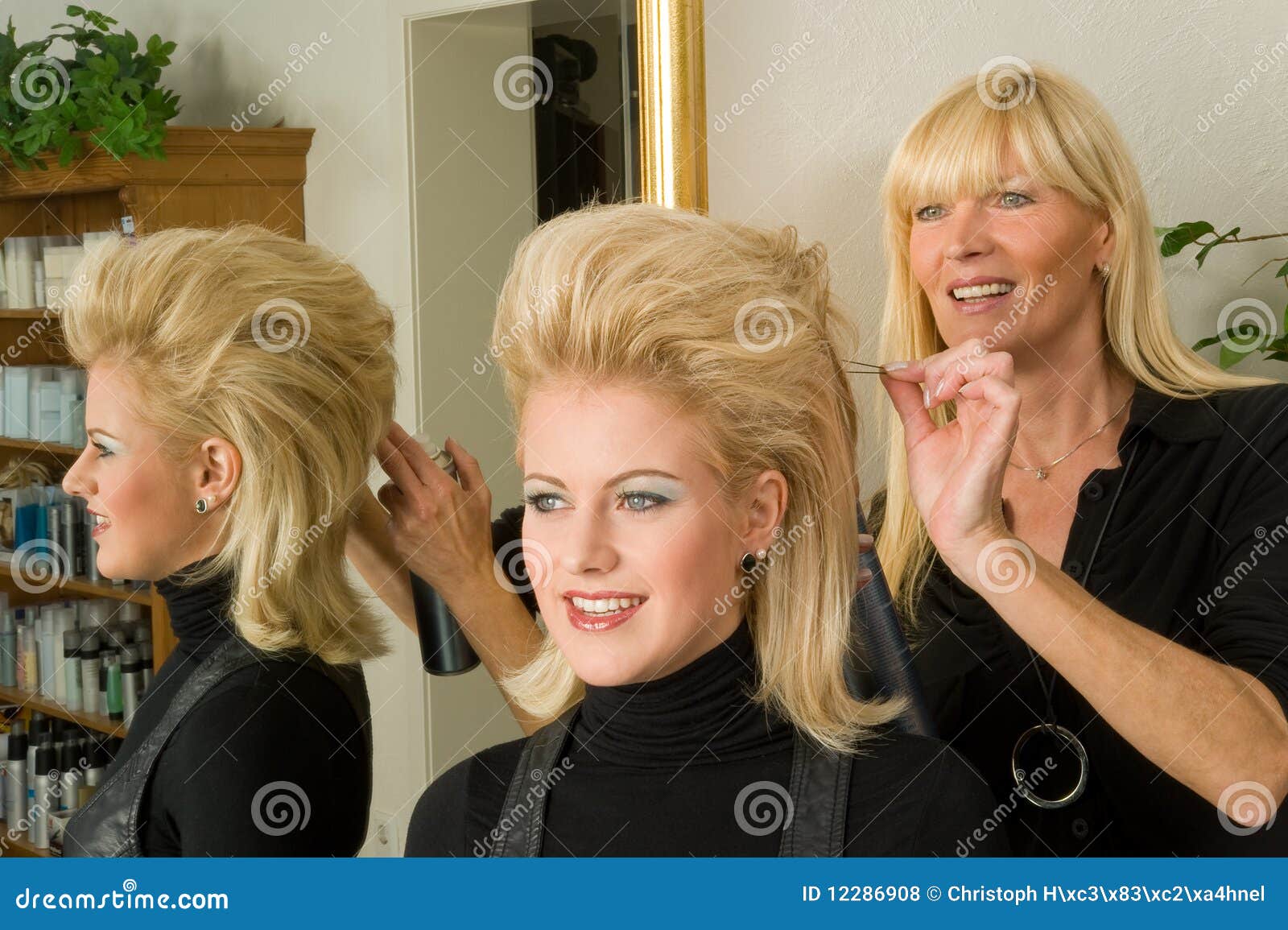 Kapper stock foto. Image of arts, werk, vrouwen, besnoeiing - 12286908