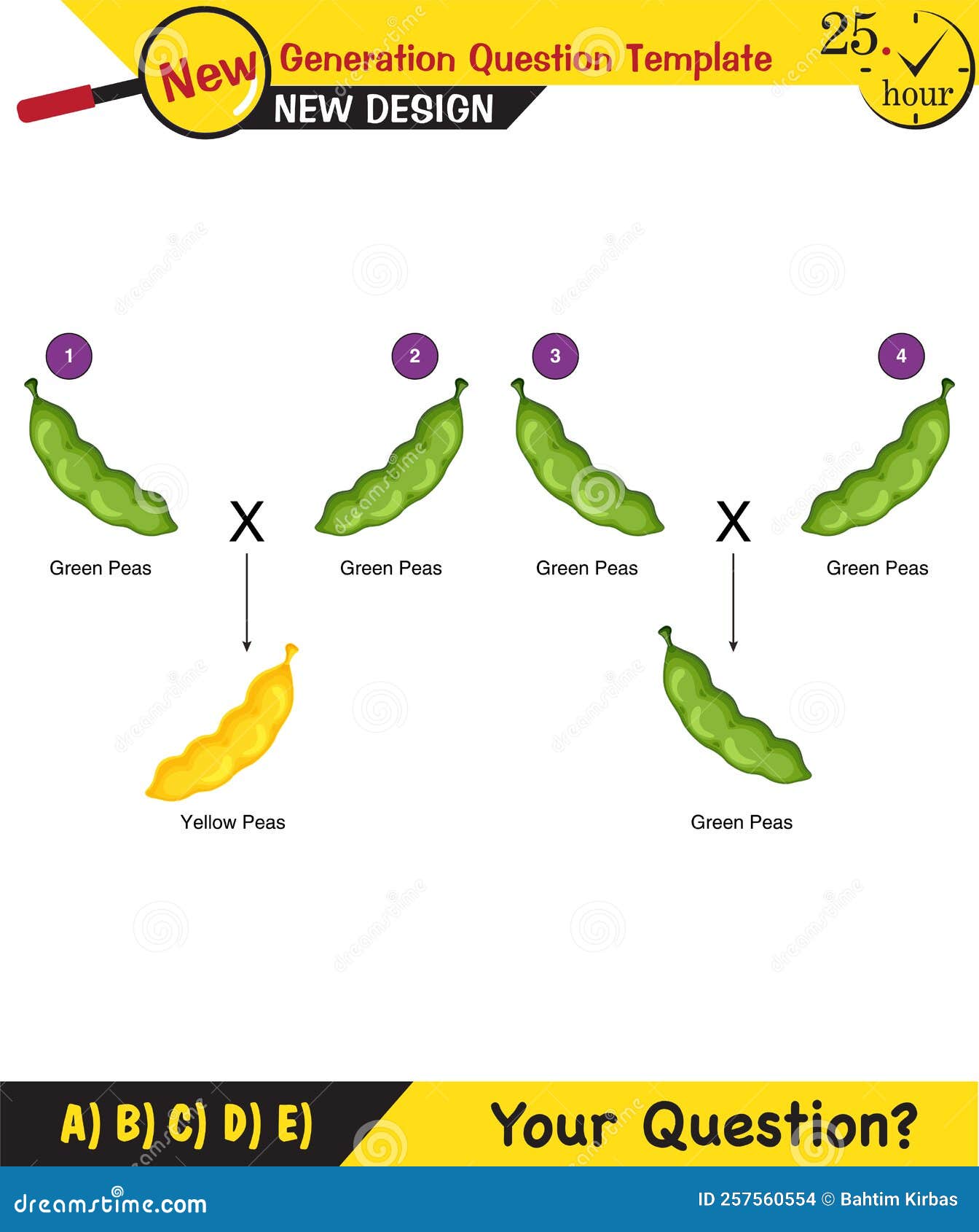 Biology, Heredity Combination, Mendelian Genetics Royalty-Free Stock ...