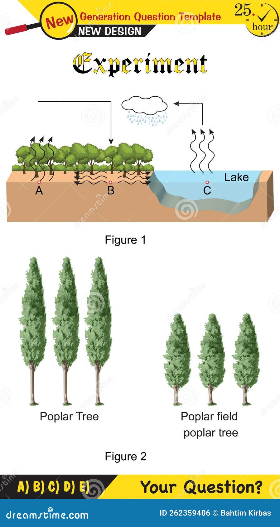 Physics, Joseph Priestley`s Experiment, Photosynthesis Phenomenon Of ...