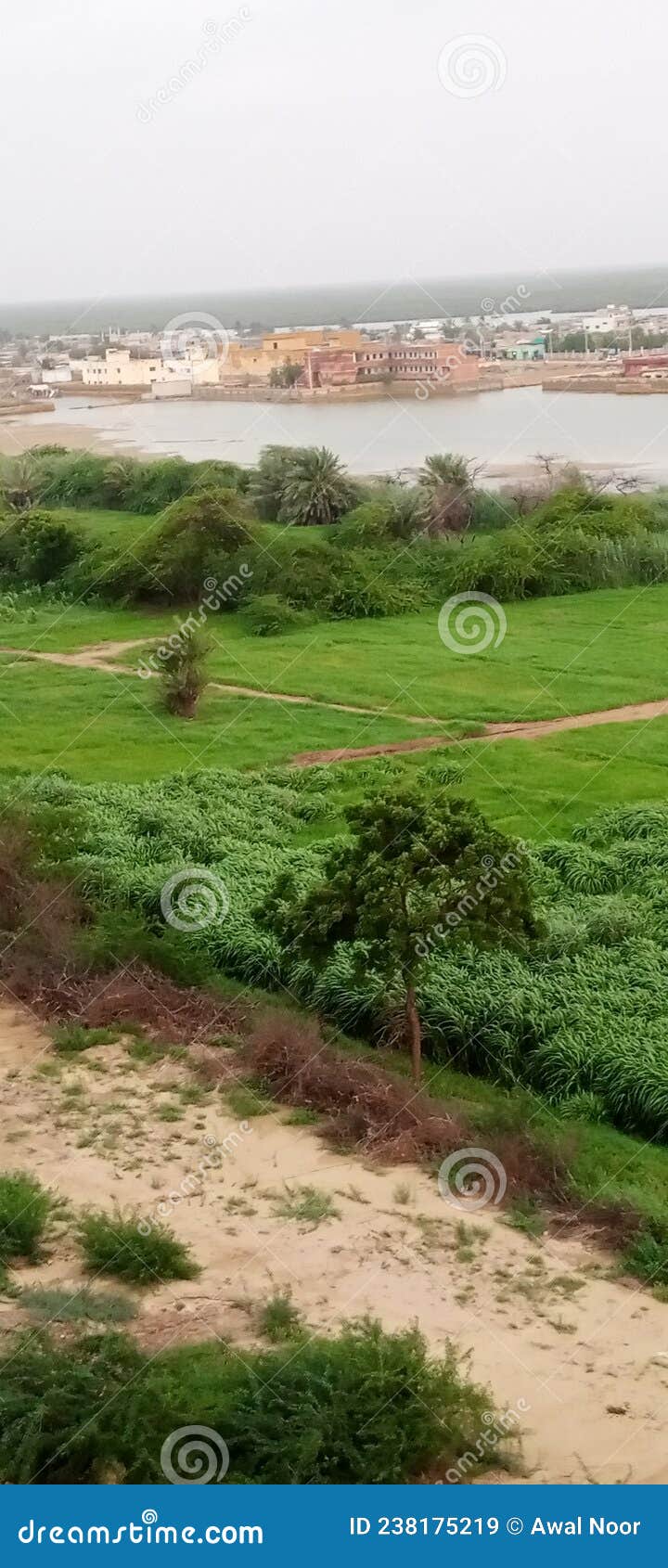 Karachi sea view stock image. Image of sindh, view, tree - 238175219