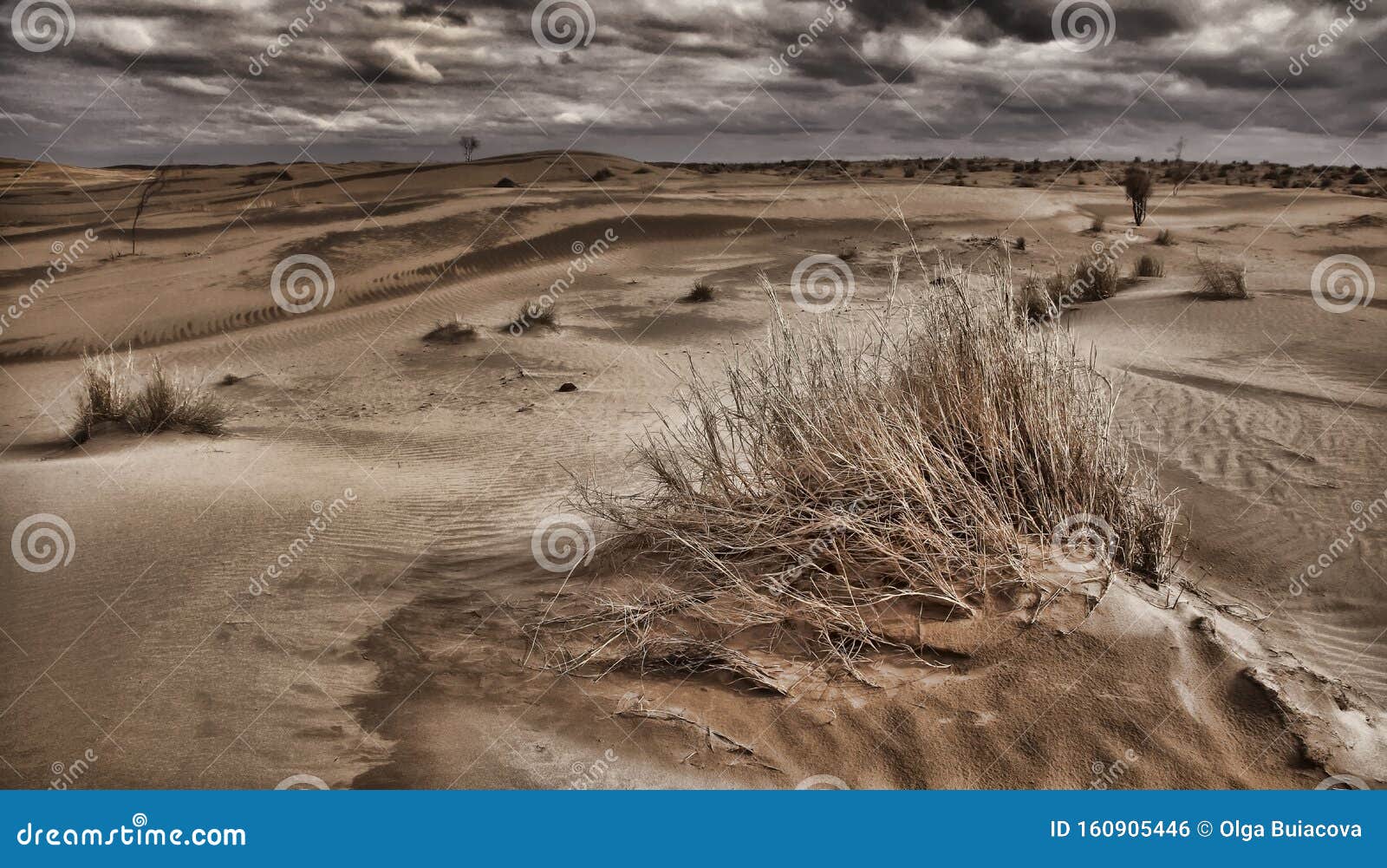 Desert - Filter Coffee Cornetto, Chocolate Ganache, Salted Caramel Ice ...