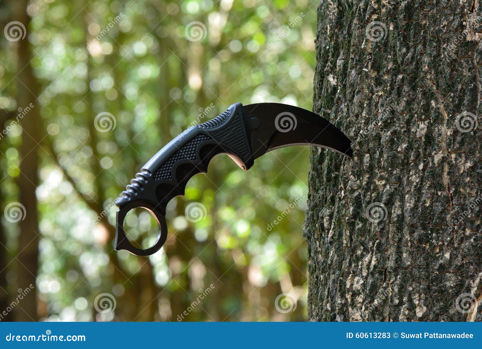 Karambit / Knife combat . stock image. Image of pocket - 60613283