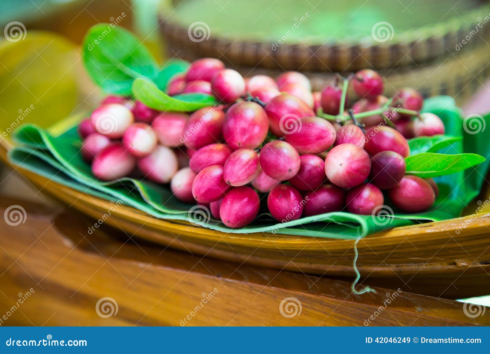 Karanda Fruit, Carissa Carandas L Stock Image - Image of citrus, colour ...